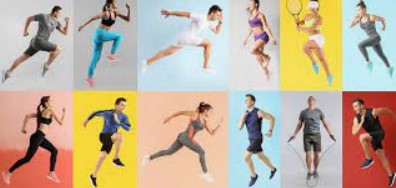 Présentation Préférences motrices signatures - Pascal Damette