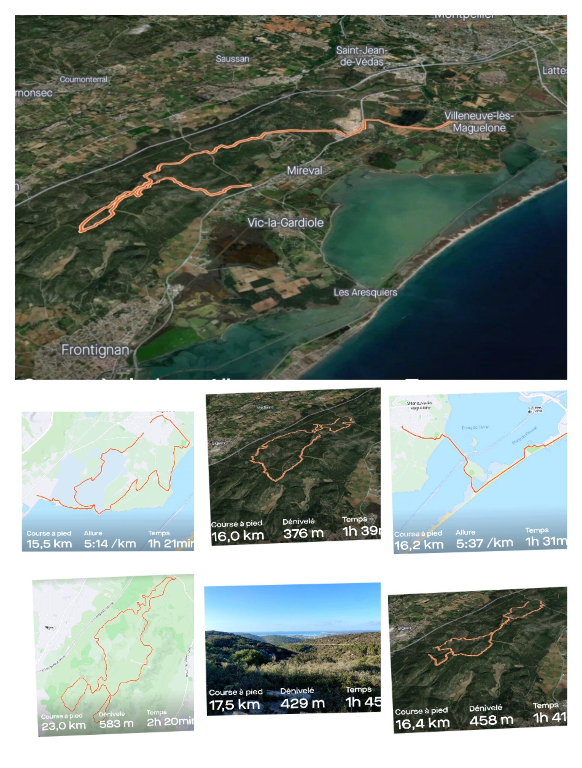 6 activités - Pascal Damette